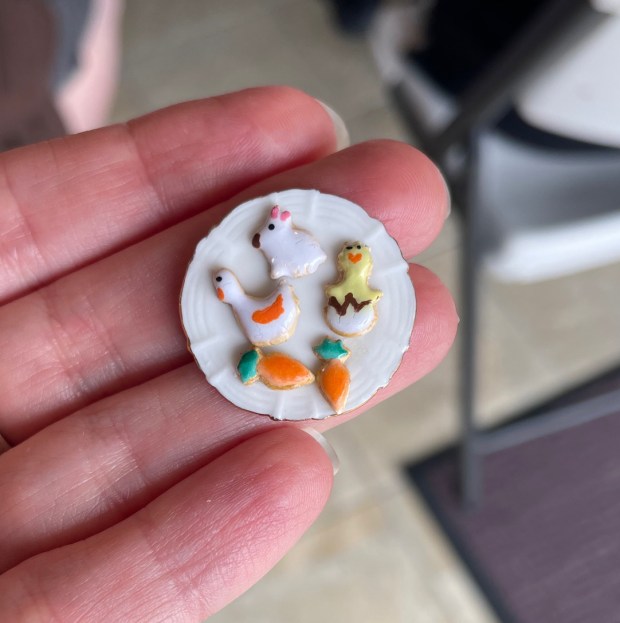 gallery – National Association of Miniature Enthusiasts